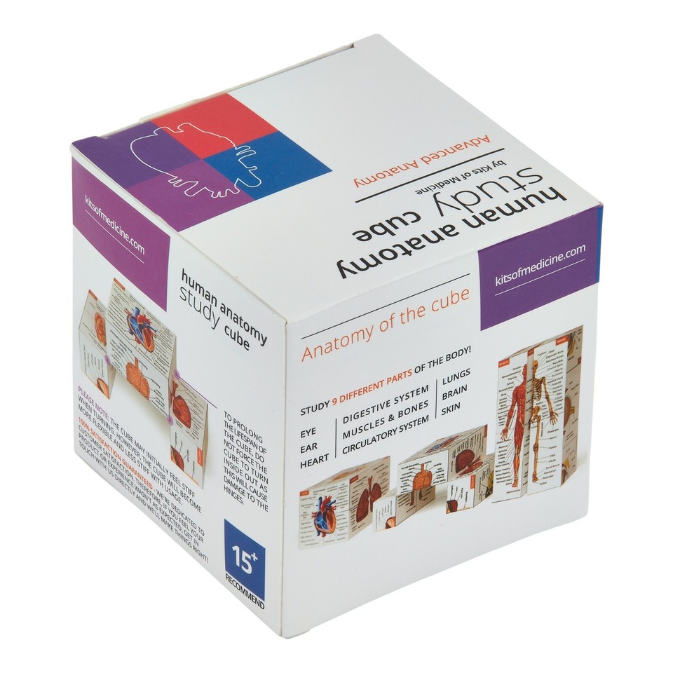 Human Anatomy Study Cube | Anatomy Gift | Learn 9 Parts of The Human ...