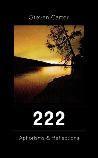 222 von Steven Carter (2008, Taschenbuch) online kaufen | eBay.de