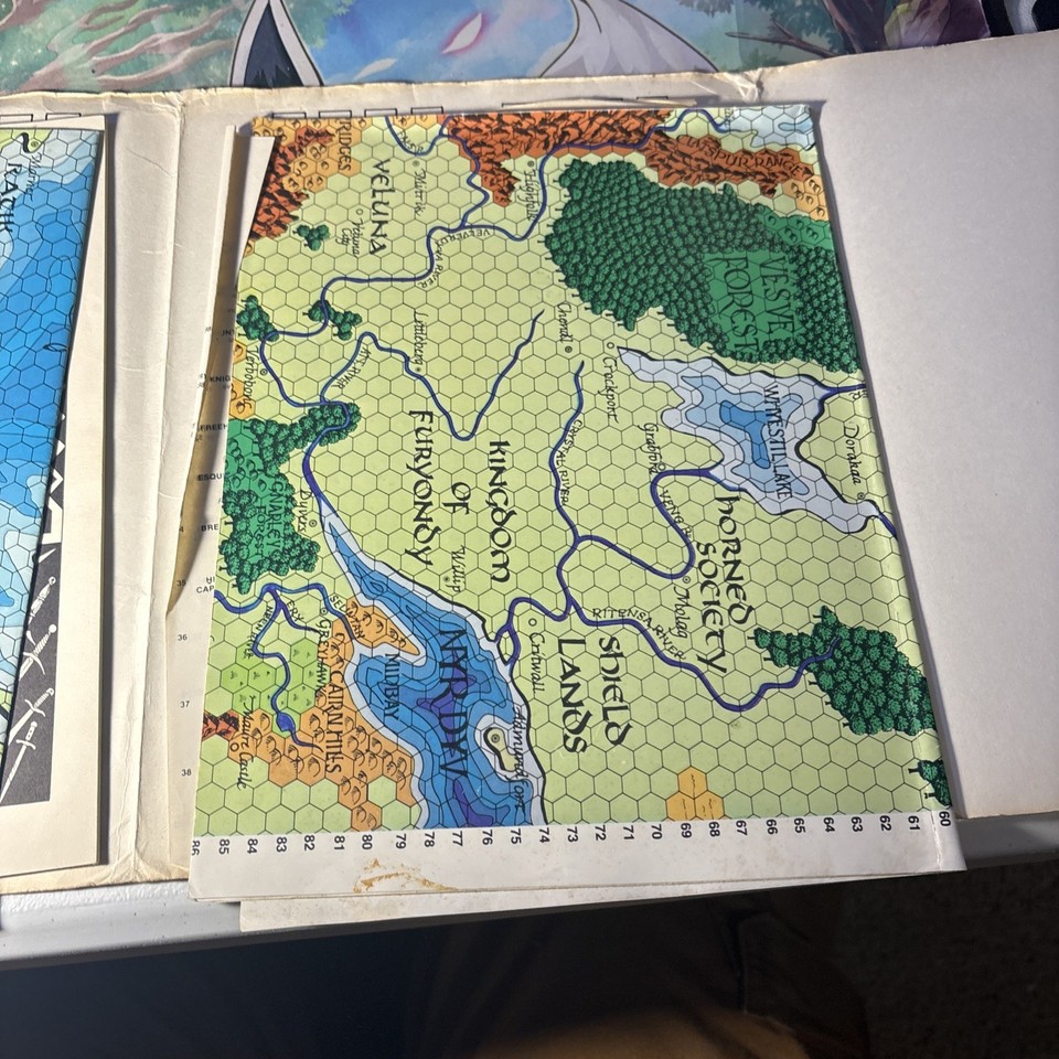 TSR 1980 AD&D The World of Greyhawk Fantasy World Setting Folio BOTH ...