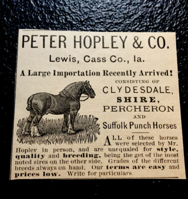 1888 Peter Hopley & Co. Horse Engraving Advertising - Lewis - Iowa ...