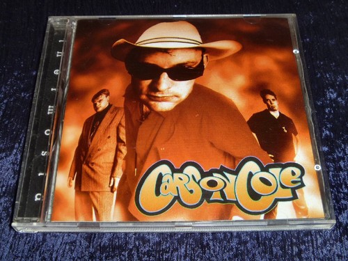 CARSON COLE Thermostat 1999 CD | eBay