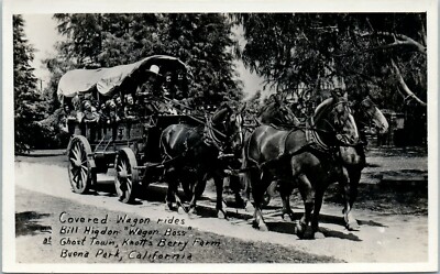 Postcard California Knott's Berry Farm Covered Wagon Rides Bill Higdon ...