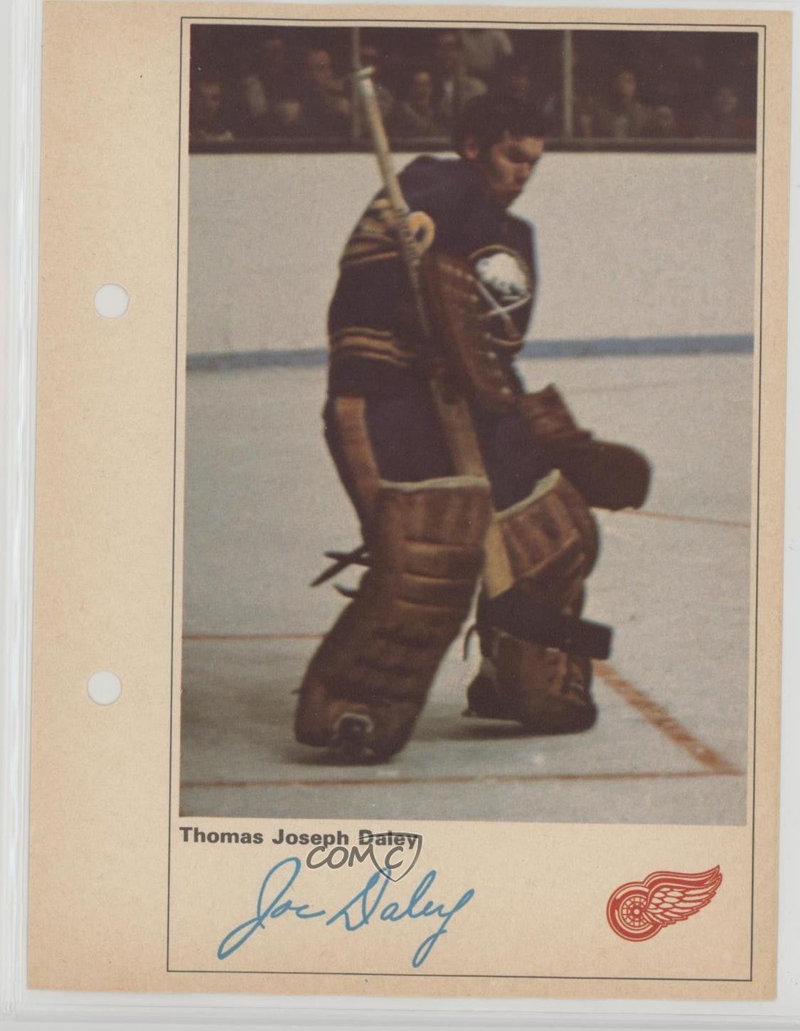 1971-72 The Toronto Sun NHL Action Players Photos Joe Daley | eBay