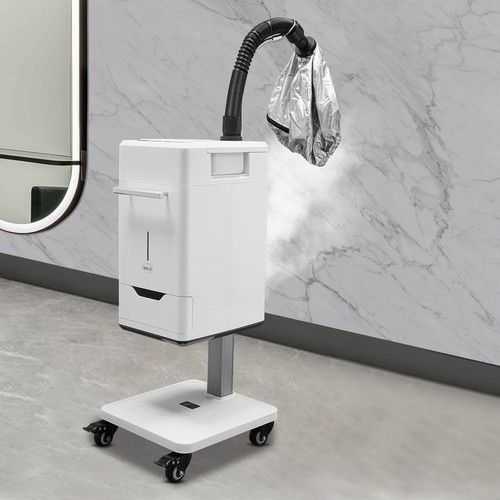 Vertical Nano Hair Steamer Versatile Anion Hair Color Processor Salon ...