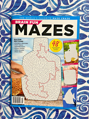 Brain Fun Mazes Magazine - Six Sections of 48 Fun Puzzles | eBay