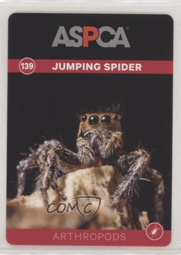 2016 ASPCA Trading Cards Jumping Spider #139 0b5 | eBay
