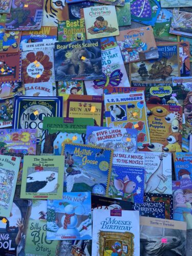 Childrens Book Lot Scholastic Educational Soft Cover And Board Books ...