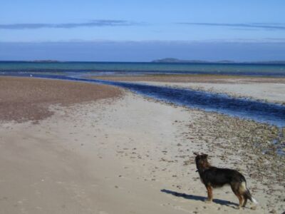 Photo 6x4 Beach at Gress Griais Looking out towards the Eye Peninsula ...