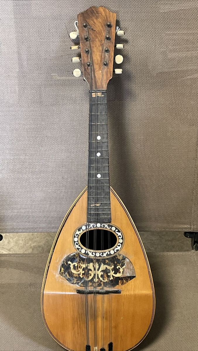 Mandolin Scratchplate