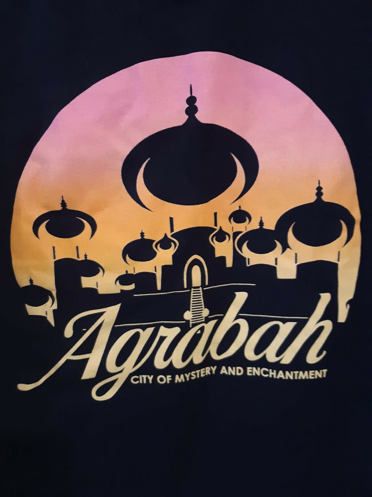Disney Aladdin Agrabah Silhouette Adult Tee Graphic T… - Gem