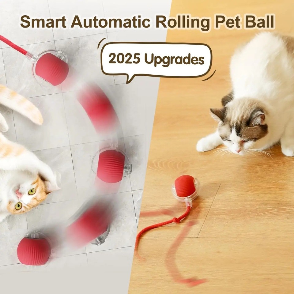 Interactive Green Ball Toy for Puppy and Kitten Chargeable Red Jumping ...