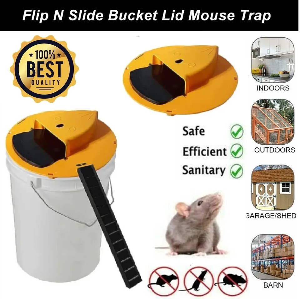 5 Gallon "Flip & Slide" Bucket Trap – Humane Mouse, Rat, Rodent Live ...