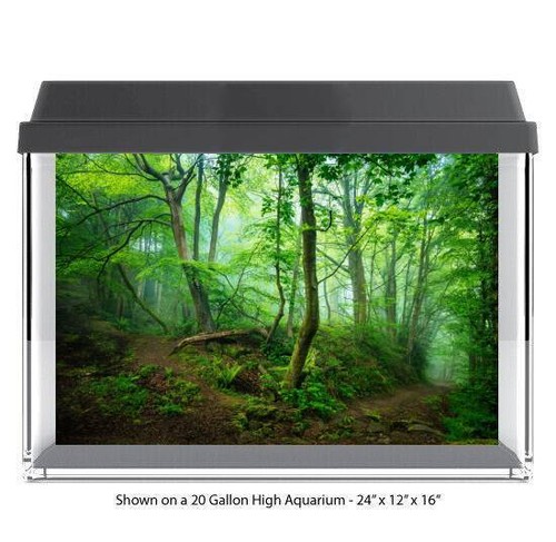 Lush Forest Trail Fish Tank Glass Back Drop Aquarium Back Ground New ...