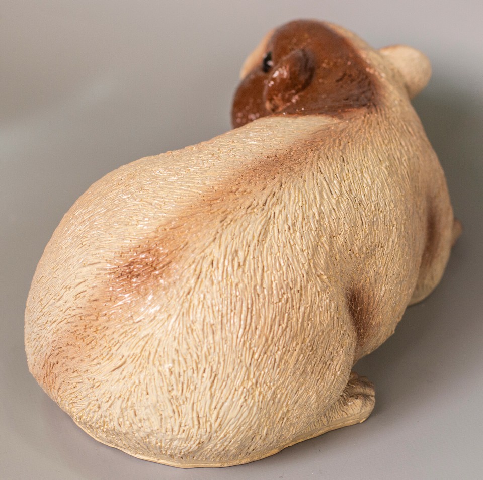 Guinea Pig Figurine Garden Statue Outdoor Yard Sculpture Pet Lawn Decor ...