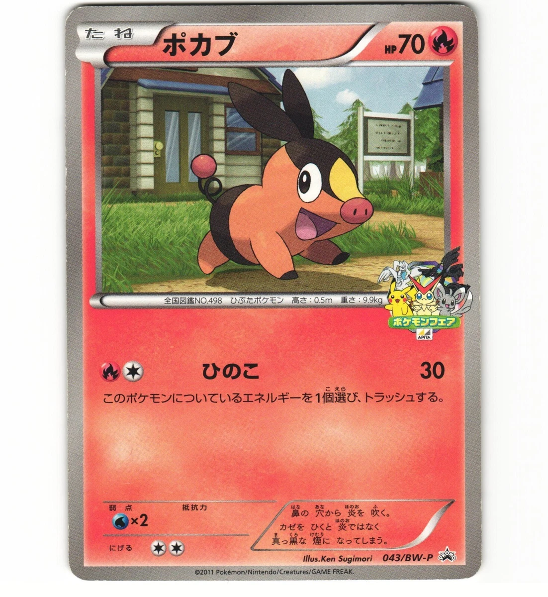 Tepig Pokemon Card