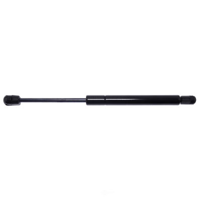 Trunk Lid Lift Support Strong Arm 6672 | eBay