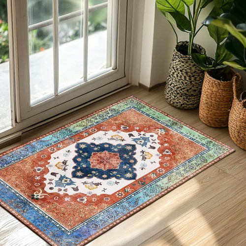 Entrance Rugs Indoor 2x3 Rust Washable Rug Small Area 2 x 3 Feet, | eBay