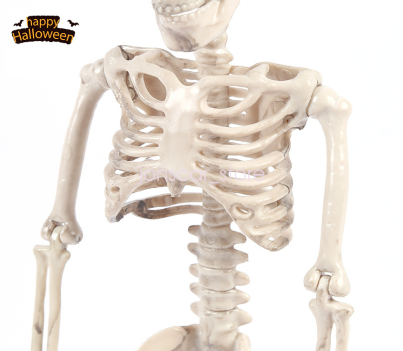 Human Skeleton Bones Real 40cm Size Hanging Halloween Props Decoration ...