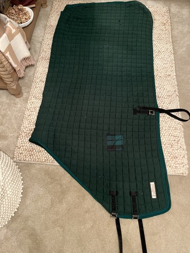 Thermatex Rug Green 6ft 6 used some small holes but still fine | eBay UK
