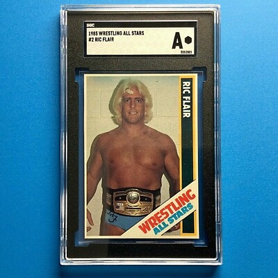 🔹 1985 WRESTLING ALL-STARS MAGAZINE #2 RIC FLAIR - HAND CUT - SGC A | eBay