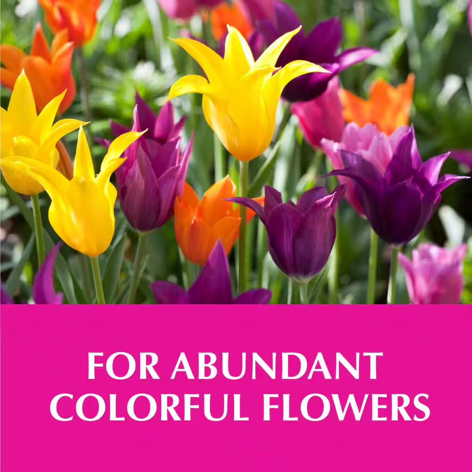 Alaska Morbloom 128 oz. (1 gal.) Liquid Flowering Plant Food Fertilizer ...