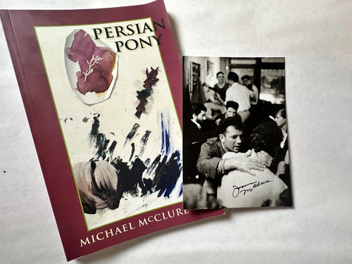 MICHAEL MCCLURE - SIGNED PERSIAN PONY, 2017 1ST ED,JOANNA,KEROUAC,ALLEN ...