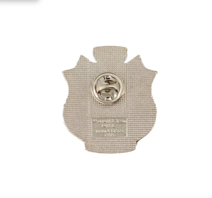 NHL Licensed Hockey Stanley Cup Shield Lapel Pin - 1999 Dallas Stars | eBay