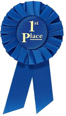 1st Place Ribbon Image
