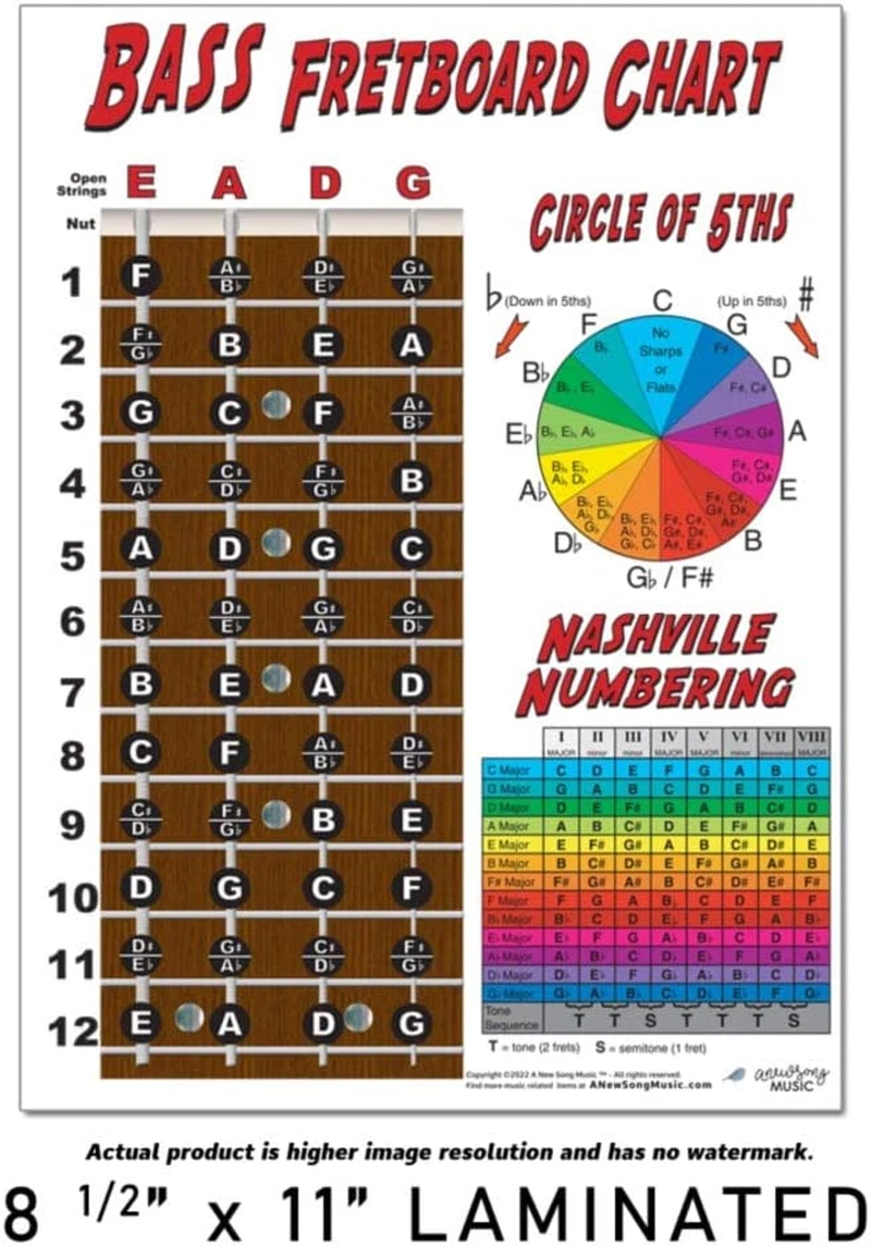 4 String Bass Guitar Notes Chart