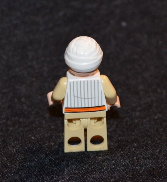 SALLAH ~ Indiana Jones Lego Collection set # 77013 ~ NEW! | eBay