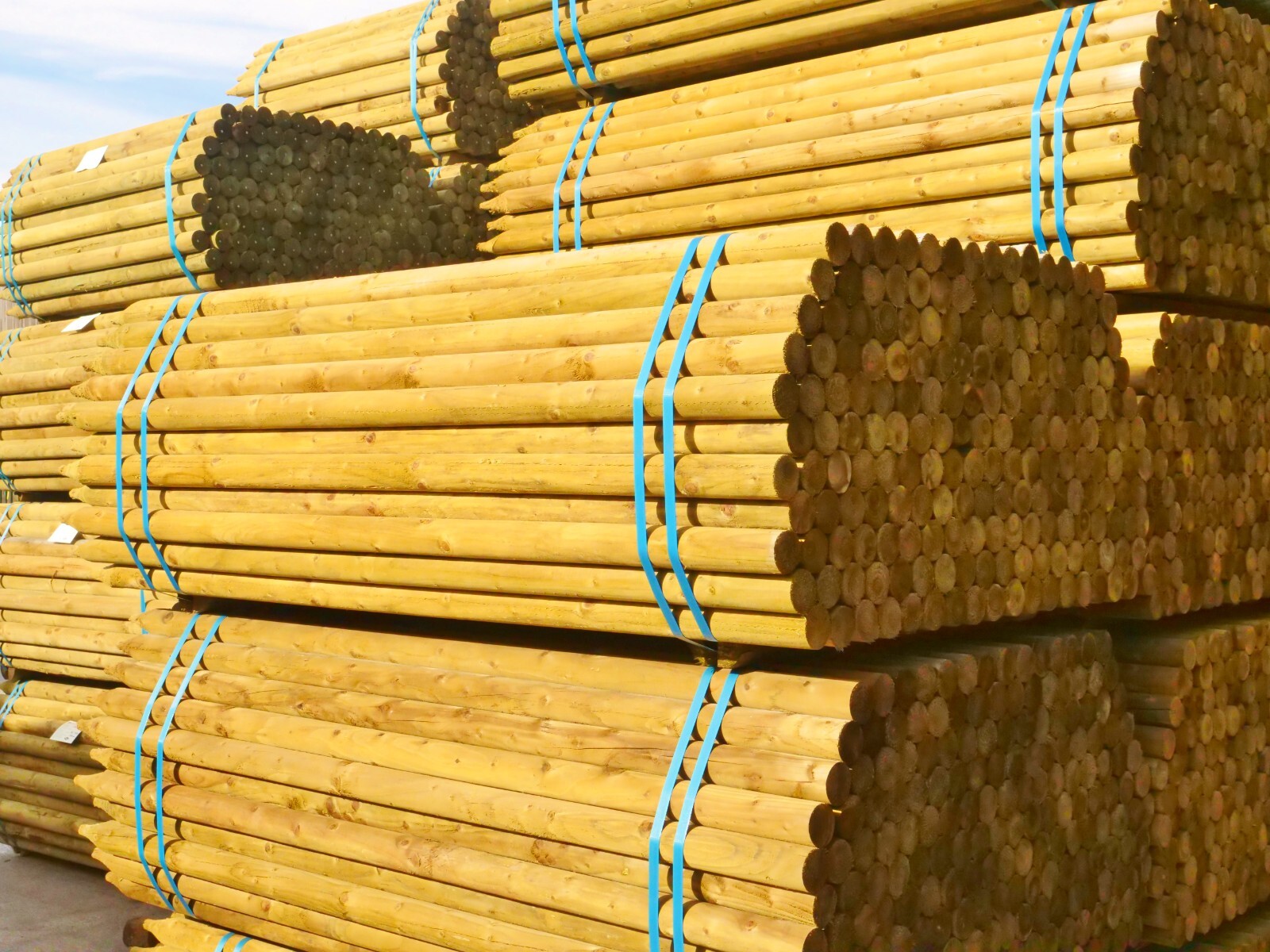 1.8m x 75mm Dia Round Pointed Treated Tree Fence Post Stake - Multi ...