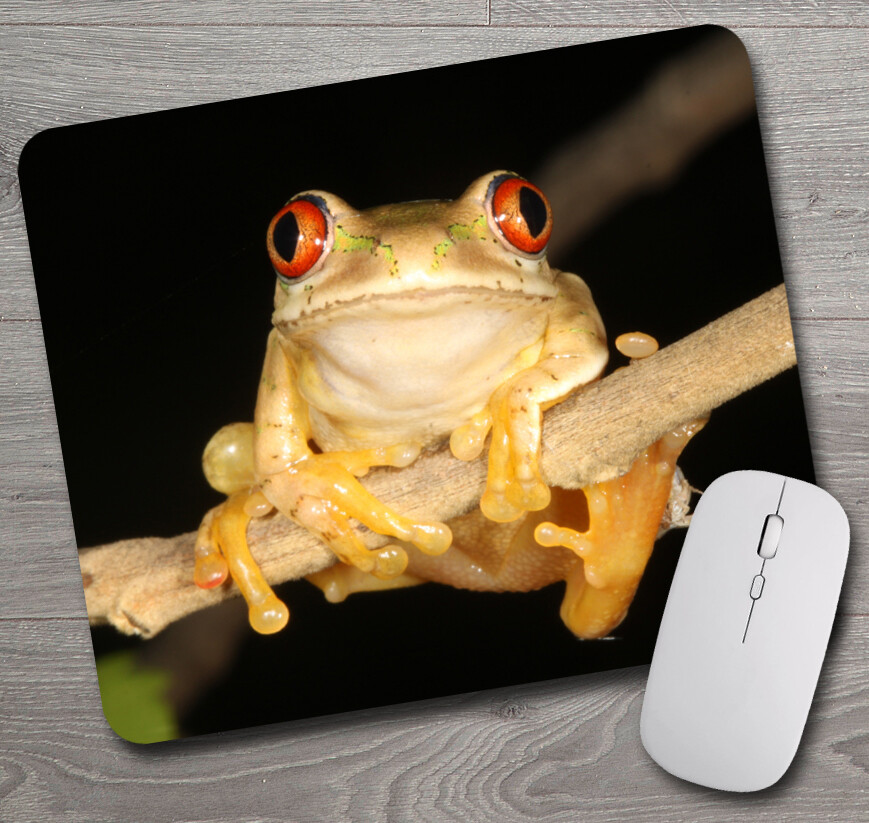 Frog Eats Mouse