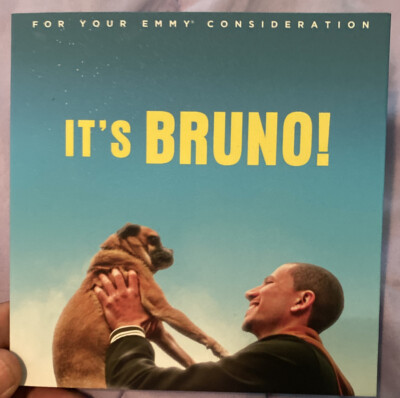 2019 NETFLIX IT'S BRUNO! ENTIRE SEASON 1 EMMY FYC DVD ALL 8 EPISODES ...