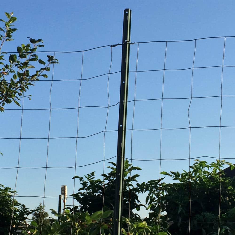 6Ft Sturdy Duty Metal Fence U Post for Fencing Green Fence Posts for ...