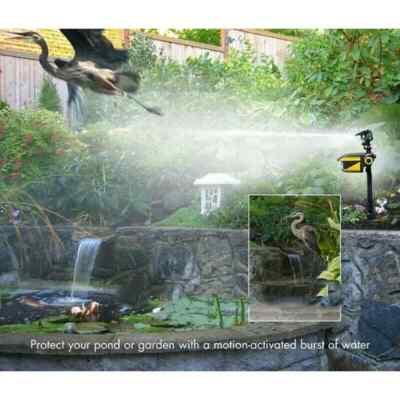 ScareCrow Motion Activated Automatic Outdoor Animal Deterrent Water ...