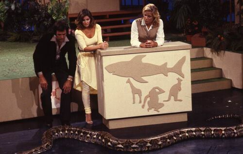 Priscilla Presley original 35mm slide with giant python ABC stamped ...