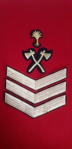 Welsh Guards HSC rank insignias to Pioneer Sergeant. | eBay UK