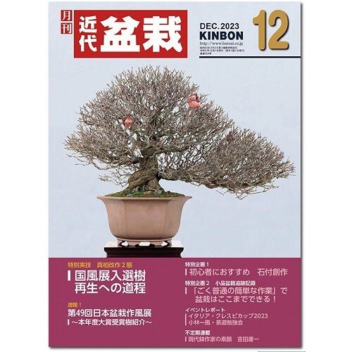 Bonsai Magazine KINBON 2023.12 Kindai Bonsai Japan | eBay Australia
