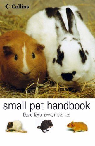 The Small Pet Handbook: Looking After Rabbits, Hamsters, Guinea | eBay