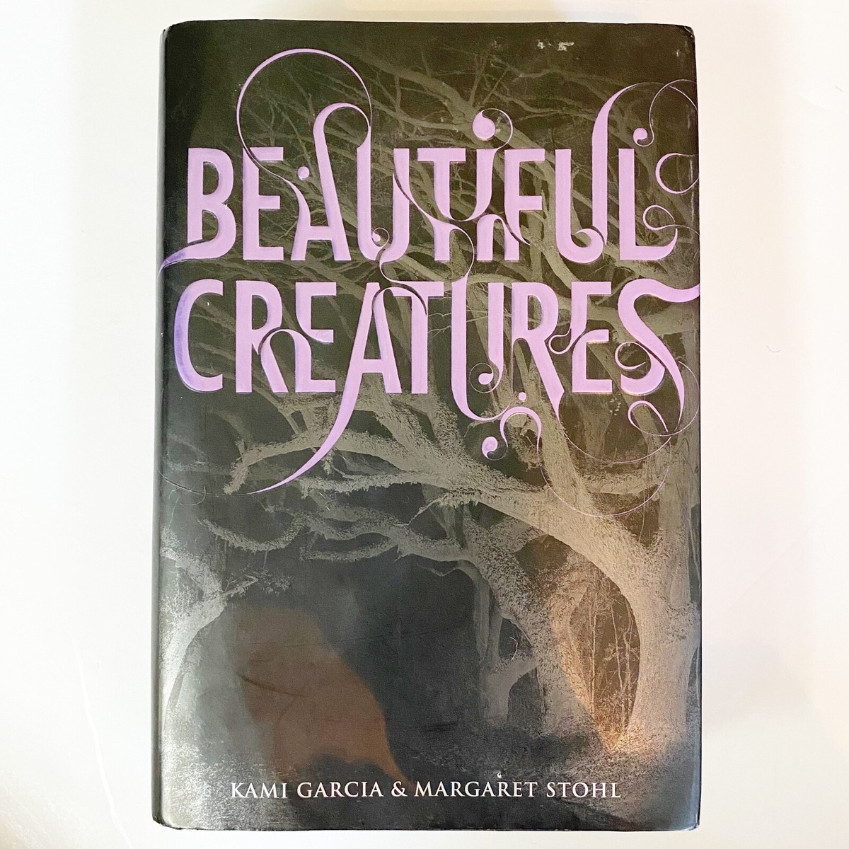 Beautiful Creatures Book Art