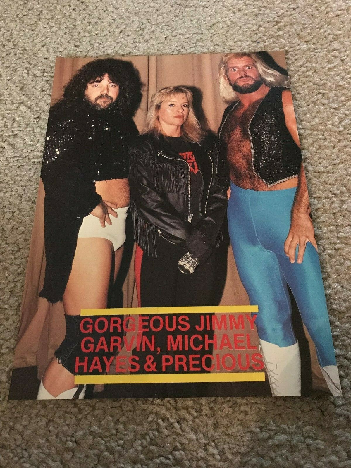 Vtg GORGEOUS JIMMY GARVIN PRECIOUS MICHAEL HAYES Wrestling Pinup Photo ...