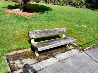 Photo 6x4 Pole Bank Bench Hyde/SJ9494 A bench by the pool at Pole Bank ...