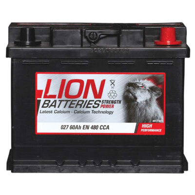 Lion MF55559 027 Car Battery 12V 60Ah 480cca L246 x W175 x H190 0/1 B13 ...