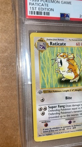 1999 Pokémon Game 1st First Edition Raticate #40 PSA 9 Grey Stamp | eBay