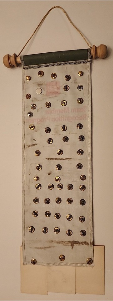 🛒 Wells Fargo Employee Service Award Pin Collection – 54 Pins Scroll ...