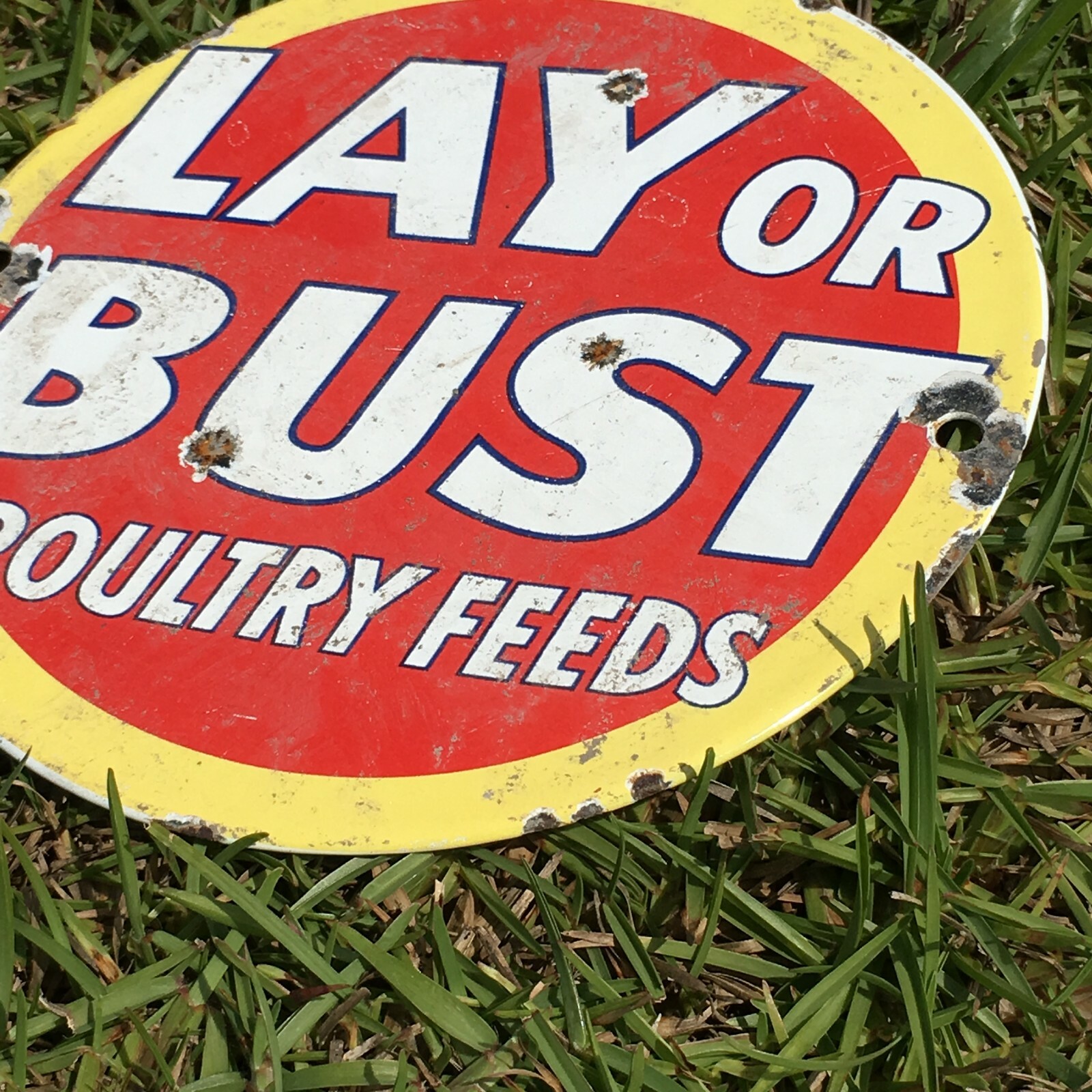 Vintage LAY OR BUST POULTRY FEEDS Porcelain Metal Chicken Farm 6 in ...