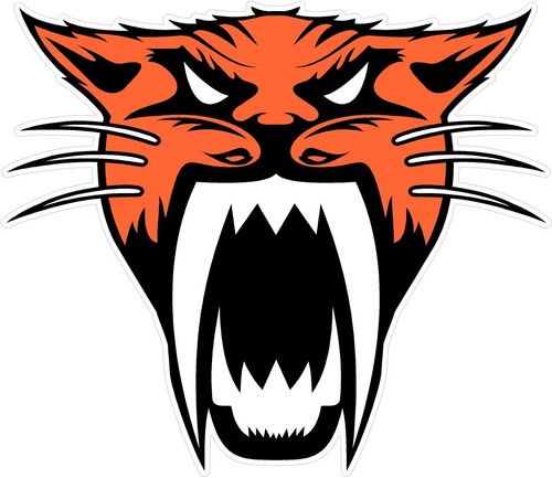 #2300 (1) 4.0" Arctic Cat Snowmobile Vintage Decal Sticker LAMINATED | eBay