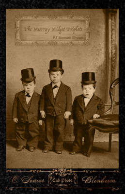 THE MURRAY MIDGET TRIPLETS - P.T. Barnum Shows Vintage Photograph ...
