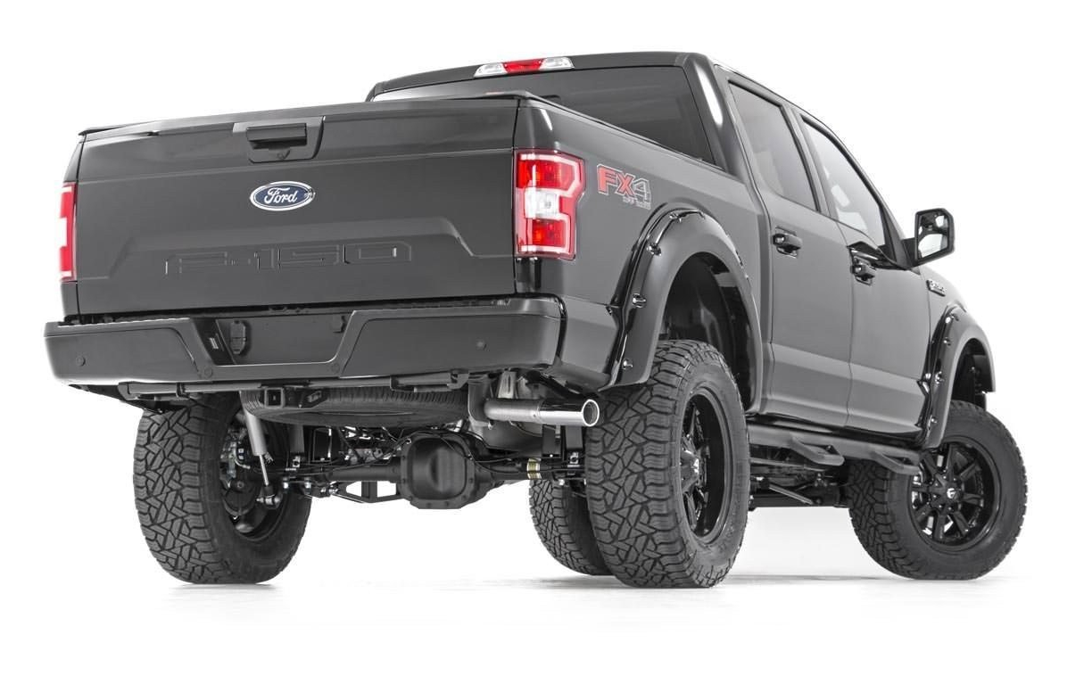 Rough Country 6 Inch Lift for 15-20 F-150 with Pre Loaded Struts | eBay