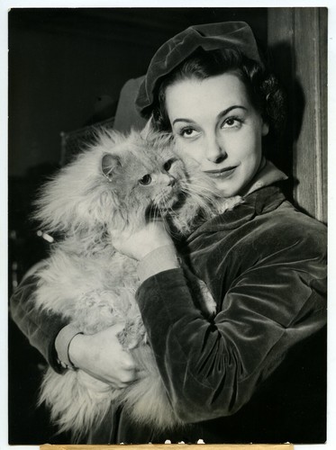 Cinéma. L'actrice Marcelle Derrien au Salon des Chats. Chat persan ...